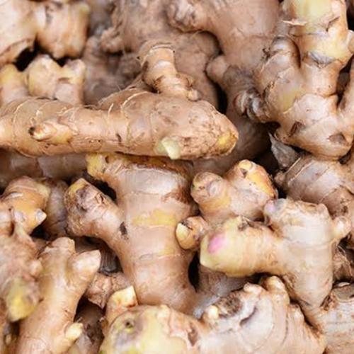 Jual jahe - 1 Kg Giling - Kota Tangerang Selatan - SAYUR NUSANTARA JAYA ...