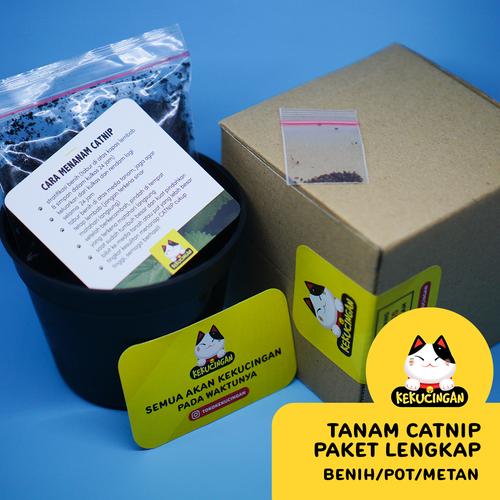 Jual DIY CATNIP ORGANIK Tanam Catnip Paket Lengkap Pot/Media/Benih 50 ...