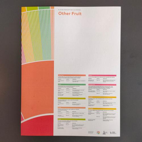 Jual Poster SCA Poster Other Fruits Flavor Perception in Coffee ...