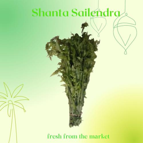 Jual DAUN PAKIS SAYUR PAKU 1 IKAT - Kota Denpasar - SHANTA SAILENDRA ...