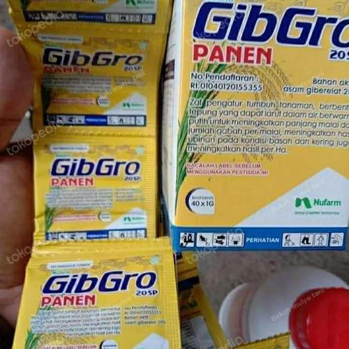 Jual GibGro PANEN 20sp 1gram PER SACHET Giberelin dosis tinggi gibro ...