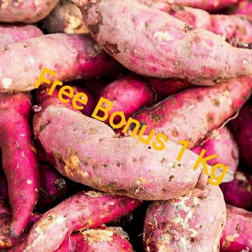 Jual Ubi Merah | Ubi Jalar + Gratis Bonus - Jakarta Barat - Om Sayur ...