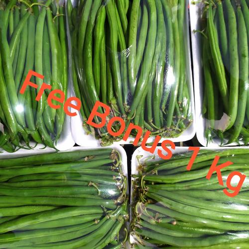 Jual Buncis Kenya | Buncis Baby Kenya 250gr/Pck + Gratis Bonus ...