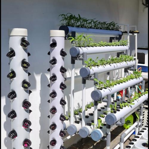 Jual hidroponik set - Kota Bandung - kebunpipa | Tokopedia