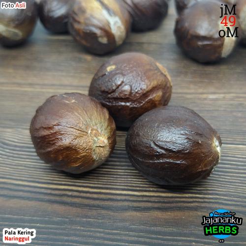 Jual Biji Pala 1 Kg Pala Kering Best Quality Ekspor - Kab. Cianjur ...