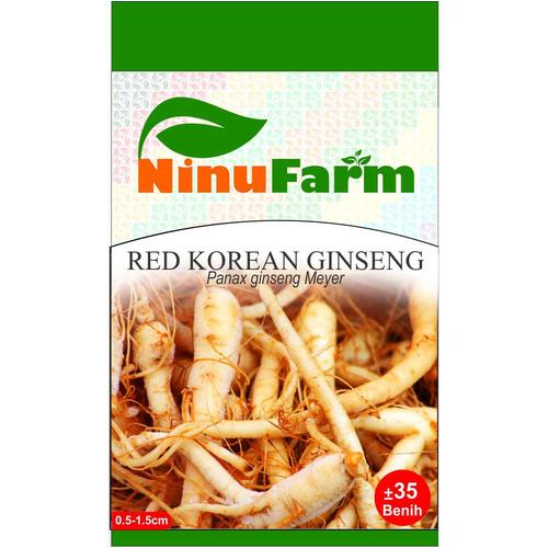 Jual Benih Ginseng Merah Korea 35Seeds - Kota Yogyakarta - NINUFARM ...