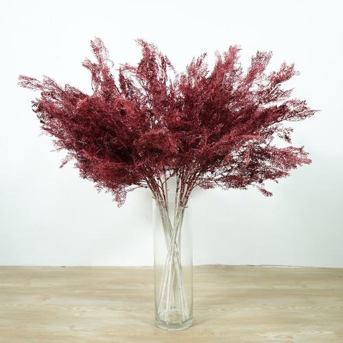 Jual Tanaman Hias Daun Cemara asparagus / bunga artificial smoke bush ...