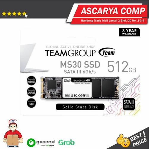Jual Team SSD Msata M.2 2280 MS30 512GB - 512 GB M2 TM8S7512G0C101 - Kota Bandung - ASCARYA ...