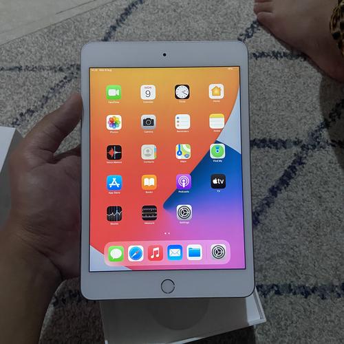 Jual ibox ipad mini 5 silver 256gb wifi garansi ON 2022 mulus digimap ...