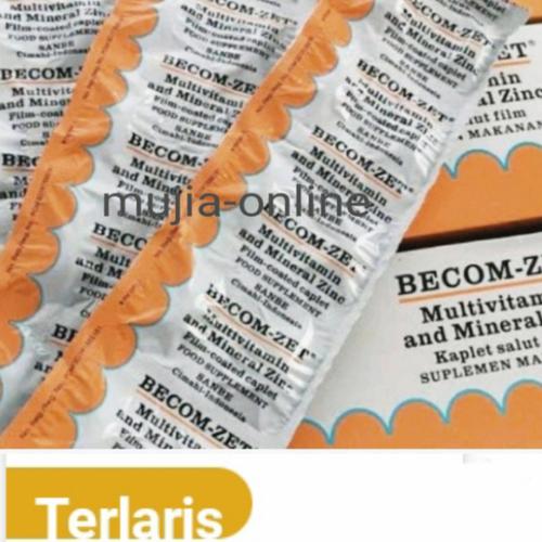 Jual Becom Zet Vitamin C 750mg Bexicom Z/ Bionicom Zinc/ CaviplexCdez ...