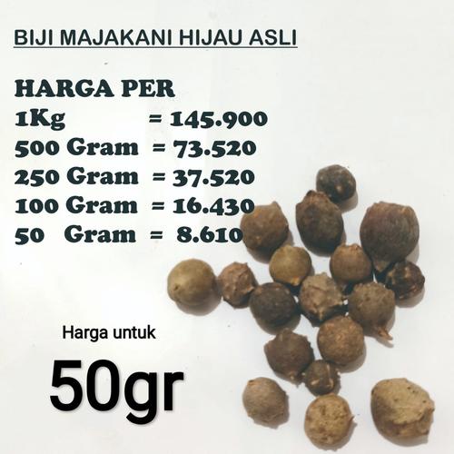 Jual biji manjakani/buah manjakani/oak galls - Kota Yogyakarta - Kusuma ...
