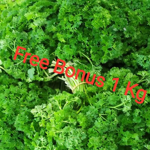 Jual Parsley Fresh | Peterseli + Gratis Bonus - Jakarta Barat - Om ...