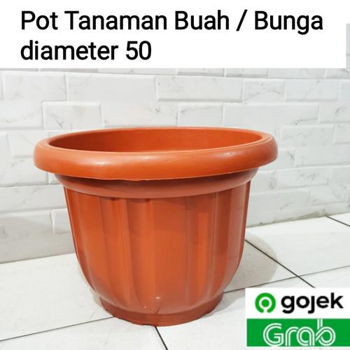 Jual Pot tanaman Jumbo besar 50 tanam buah / bunga taman pot merah ...