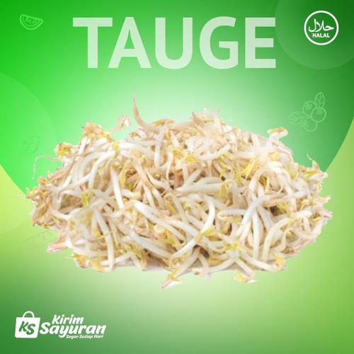 Jual Toge Segar / Tauge Fresh 500 gram (Sayur Segar) - Kota Tangerang ...