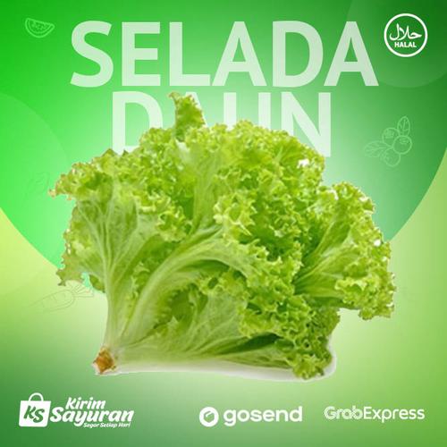 Jual Selada Segar / Daun Selada Fresh / Sayur Selada 1 Kg (Sayur Segar ...