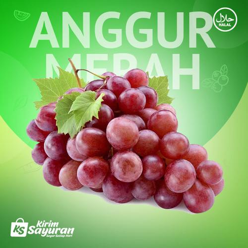 Jual Buah Anggur Merah Segar / Anggur Merah Red Globe Seeds Fresh 500 ...
