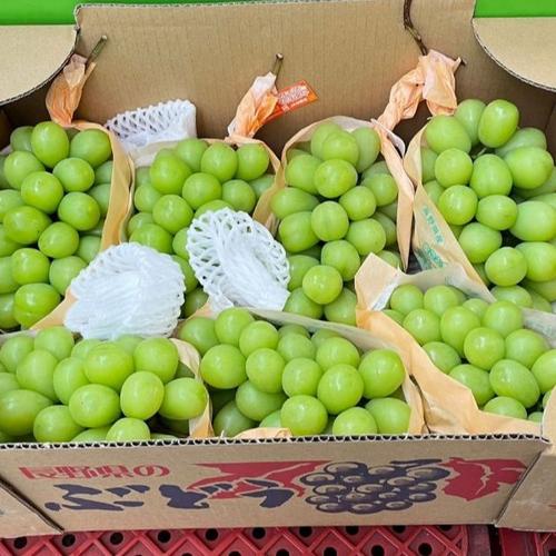 Jual Anggur Shine Muscat Yamanashi Japan Original 1box - Jakarta Barat ...