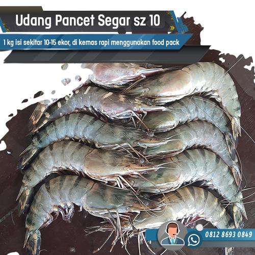 Jual PROMO Udang Pancet Besar (sz 10) 1Kg/Udang Windu/Black Tiger Prawn ...