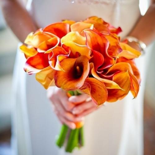 Jual Calla O bouquet+corsage/ wedding bouquet calla Lily premium ...