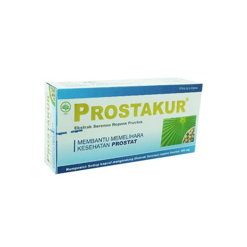Jual PROSTAKUR 6'S - Kota Makassar - Alfamedikaofficial | Tokopedia