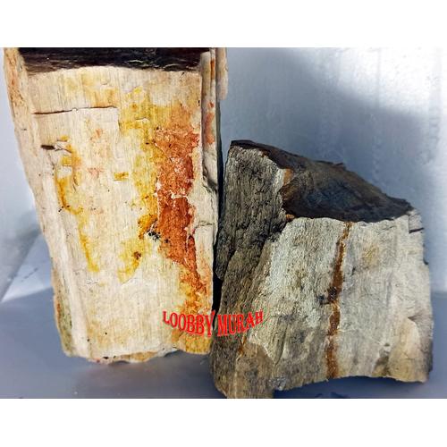 Jual Batu Fosil Fossil Hiasan Aquascape 1 Kg Hardscape Stone Aquarium ...