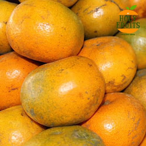 Jual Jeruk Medan - Kecil - Jakarta Timur - holy fruits jkt | Tokopedia