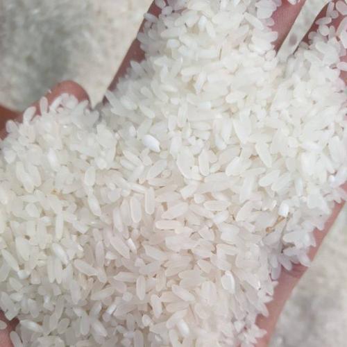 Jual Beras Pera IR42 untuk nasi goreng grade B 20kg - Jakarta Selatan ...