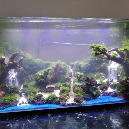 Jual aquarium aquascape full set/ paket lengkap aquascape - 60x30x35cm ...