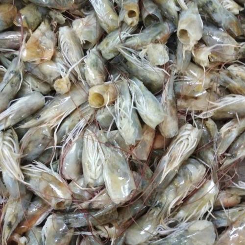 Jual kulit kepala udang fresh 1000gram - Jakarta Barat ...