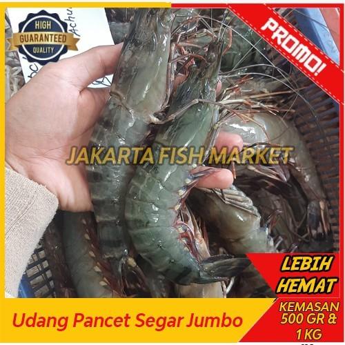 Jual Udang Tiger ak 10-15 ekor / Pancet / Windu Jumbo / Gede / Besar ...