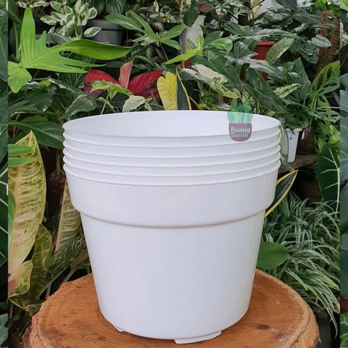 Jual POT Bunga Tanaman Hias Taman NKT Pot Putih Polos Minimalis Cantik ...