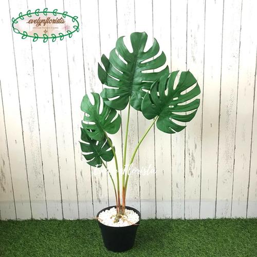 Jual Pohon Monstera Latex Akar Artificial Pot Dasar // Tanaman Hias ...