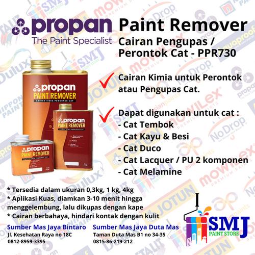 Jual Paint Remover Perontok Pengupas Cat PROPAN PPR 730 0,3kg spt ...