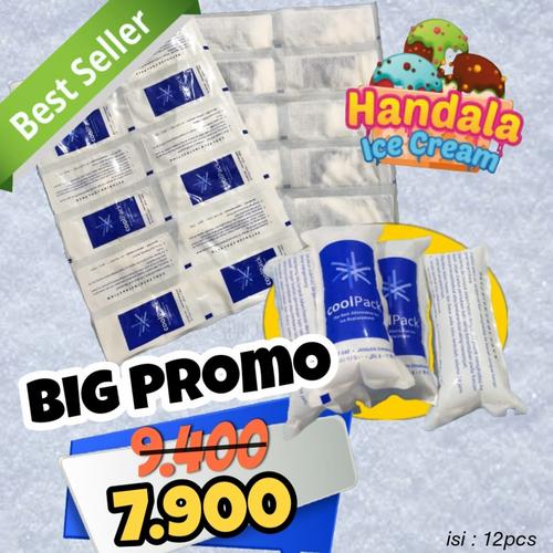 Jual ICE PACK - Ice Gel Lembaran Pengganti Dry Ice Berkualitas ...
