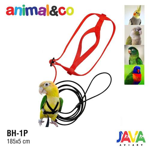 Jual AnimalnCo Harness Burung BH-1P Harness Parrot kecil Conure ...