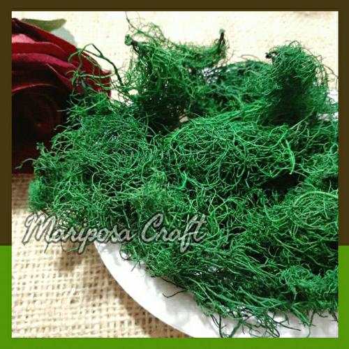 Jual Rumput angin kering / rumputan hijau kering dekorasi rustic ...
