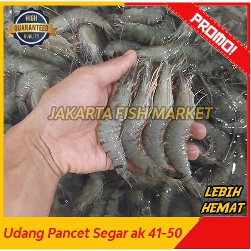 Jual Udang Tiger 1kg ak 41-50 ekor / Pancet / Windu Jumbo / Segar - 500 ...