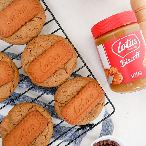 Jual GIANT LOTUS POCUS - COOKIES/KUKIS RASA LOTUS BISCOFF - Jakarta ...