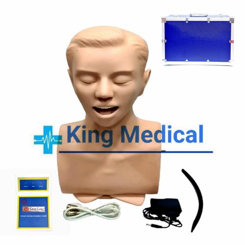 Jual Phantom/Manikin/Alat Peraga Intubasi Airway/ETT Airway GL 8407 ...