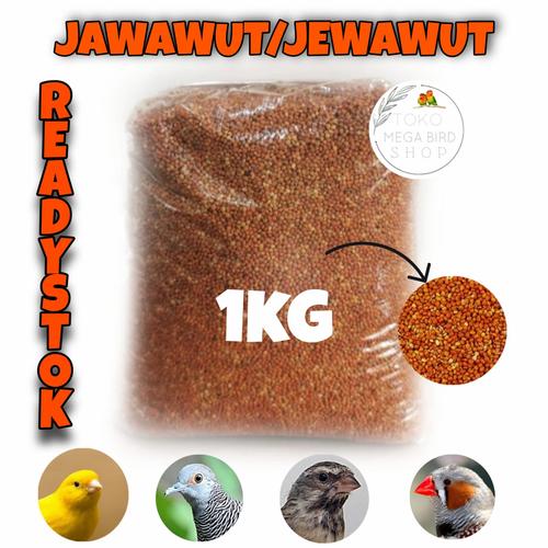 Jual BIJI JEWAWUT/JAWAWUT BIJI SEKOI KUNYIT 1KG - Jakarta Barat - TOKO ...
