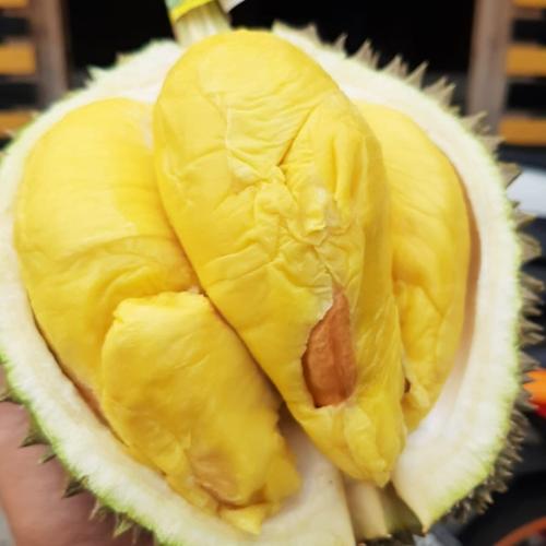 Jual Buah Utuh Musang King Fresh Malaysia 2 Kg - kuning mentega, enak legit - Jakarta Pusat ...