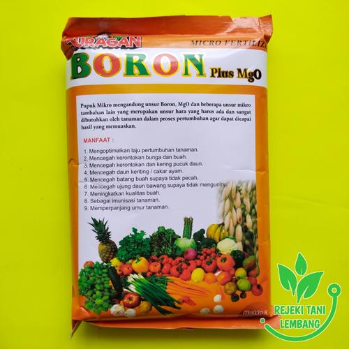 Jual PUPUK MICRO FERTILIZER BORON Plus MgO pupuk tanaman - Kab. Bandung ...
