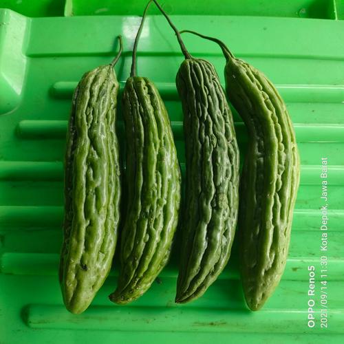 Jual Pare 1 Kg - Pare 1/2 Kg - Pare 1/4 Kg - 1/2 kg - Kota Depok ...