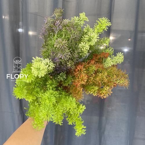 Jual [7 Tangkai] Daun Rumput Laut Artifisial / Daun Plastik Dekorasi ...