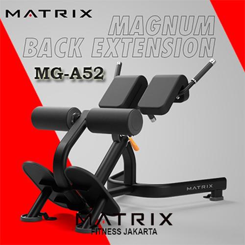 Jual MATRIX MAGNUM BACK EXTENSION BENCH - Jakarta Barat - Matrix ...