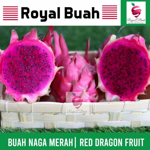 Jual Buah Naga Merah | Red Dragon Fruity | Buah Naga Segar 1 Kg - Kota ...