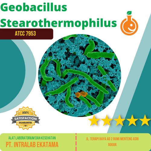 Geobacillus Stearothermophilus Fact Sheet – ALPE