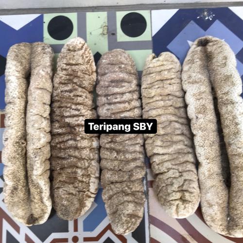 Jual teripang/Haisom kunyit kering - Kota Surabaya - TeripangSBY ...