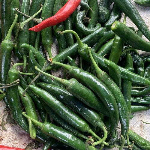 Jual Cabe Hijau Besar | Cabe Ijo Besar - 1/2 kg - Kota Depok ...