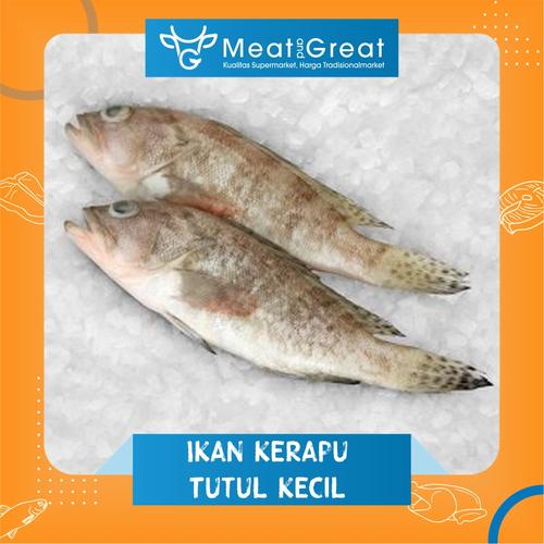 Jual Ikan Kerapu tutul Segar 1 kg 500g - Kab. Badung - Meat & Great ...